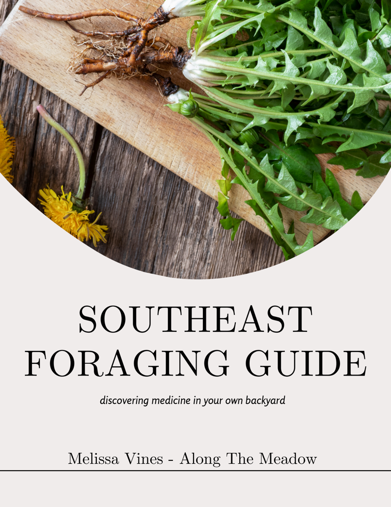 Seasonal Foraging Guide – Four Pillars Printing